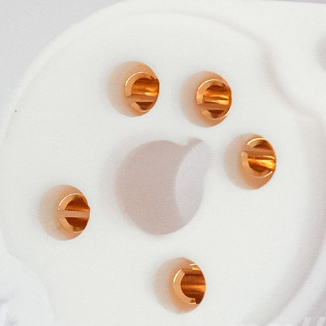 Tube socket – ExAUDIO
